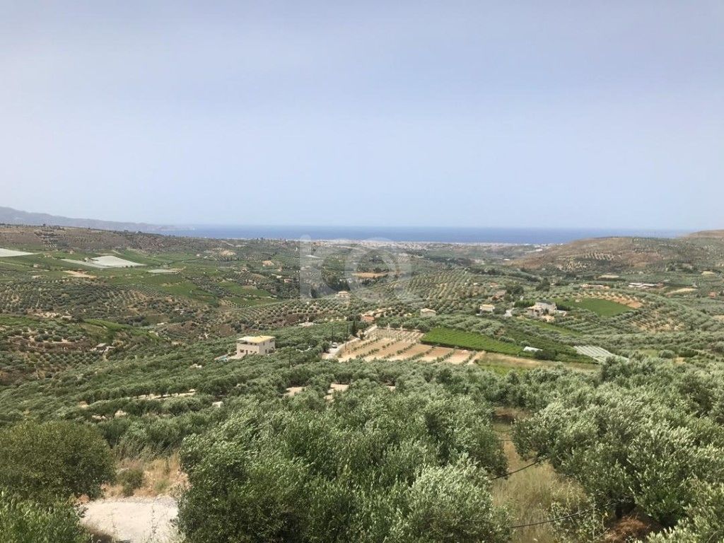 Πώληση ΣΠΗΛΙΑ Σπήλια