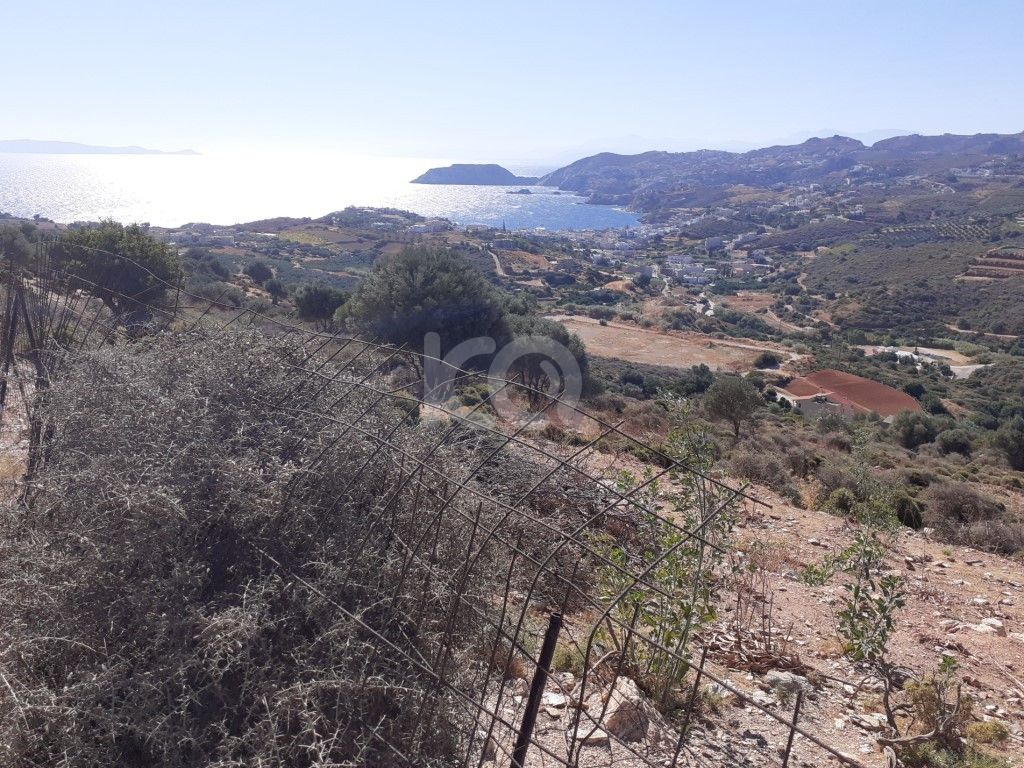 Οικόπεδα, Πώληση, Αγία Πελαγία: ΑΓΙΑ ΠΕΛΑΓΙΑ