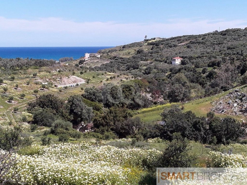 Πώληση ΕΠΙΣΚΟΠΗ ΡΕΘΥΜΝΟΥ Επισκοπή