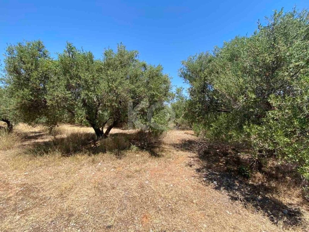 Οικόπεδα, Πώληση, Χερσονήσου Ανάληψη : ΧΕΡΣΟΝΗΣΟΥ ΑΝΑΛΗΨΗ