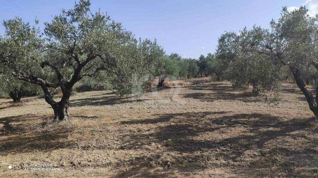 Οικόπεδα, Πώληση, Βάθεια Επάνω : ΒΑΘΕΙΑ ΕΠΑΝΩ