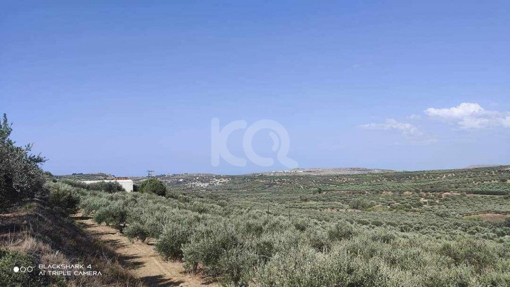 Οικόπεδα, Πώληση, Βάθεια Επάνω : ΒΑΘΕΙΑ ΕΠΑΝΩ