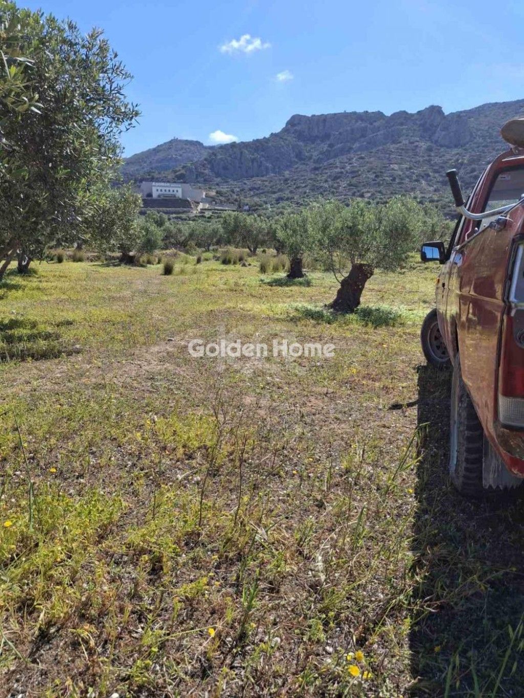 Αγροτεμάχια, Πώληση, Χωριό Κάτω : ΧΩΡΙΟ ΚΑΤΩ