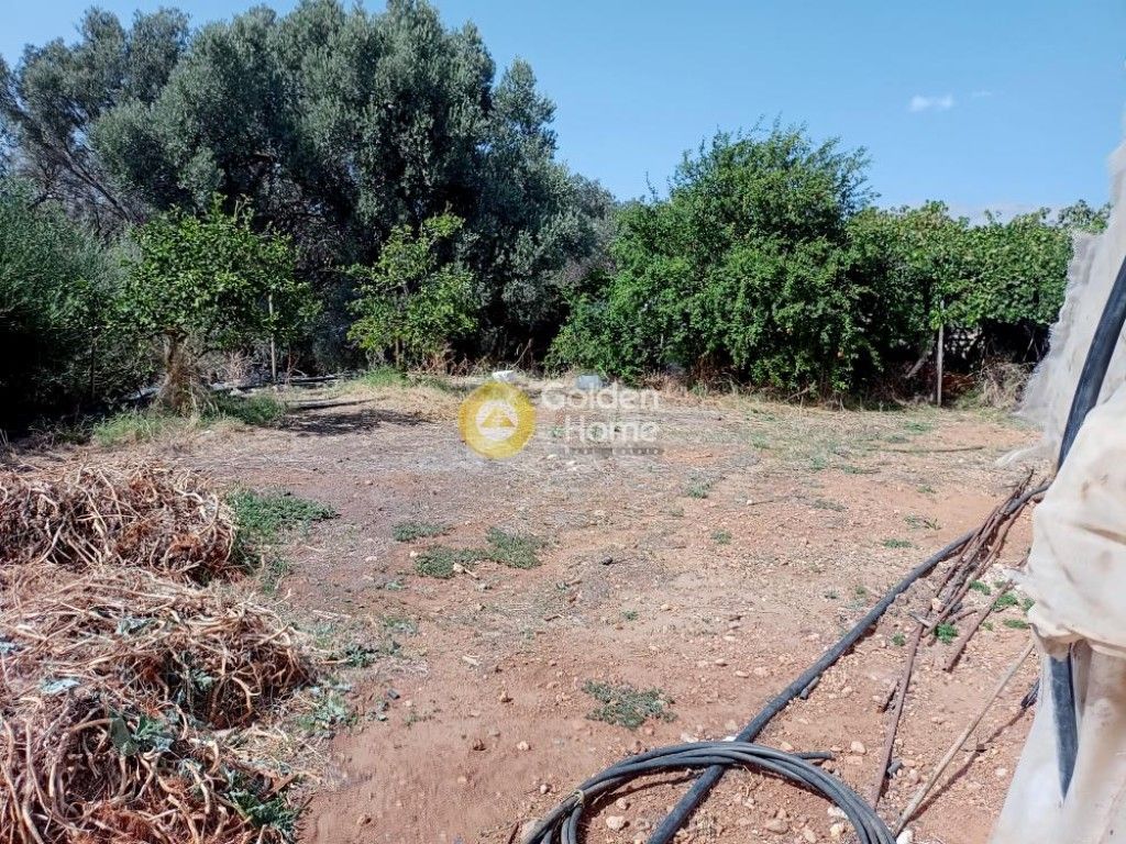 Αγροτεμάχια, Πώληση, Τυμπάκι: ΤΥΜΠΑΚΙ