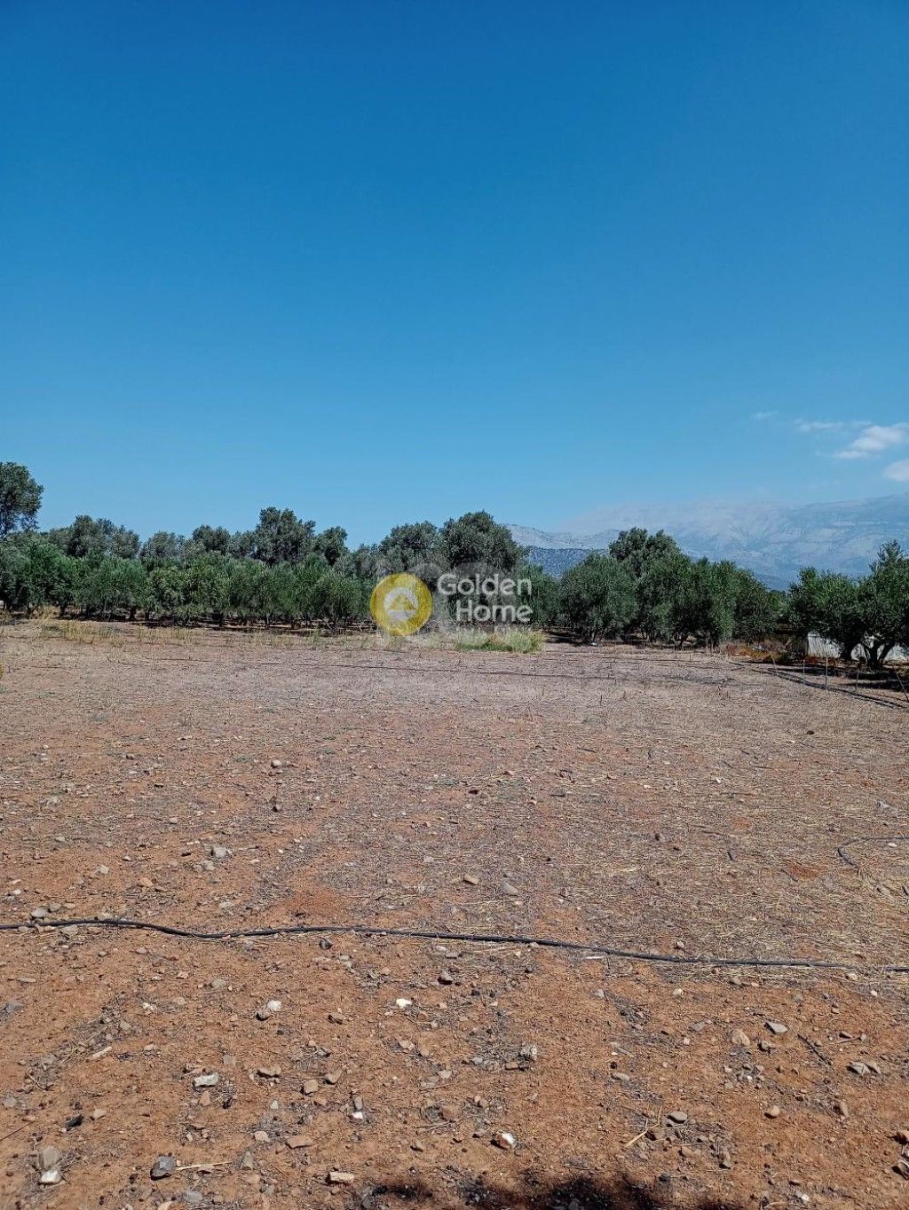 Αγροτεμάχια, Πώληση, Κέντρο: ΚΕΝΤΡΟ