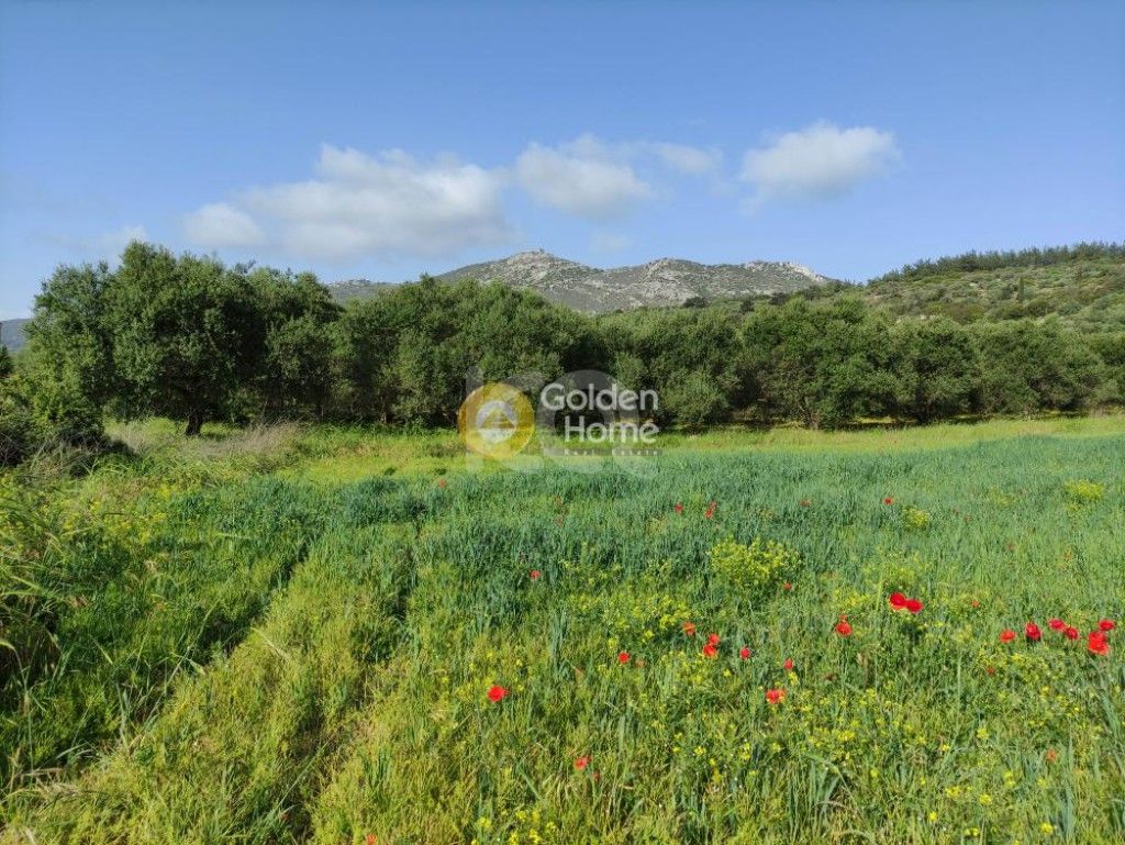 Οικόπεδα, Πώληση, Αγία Παρασκευή: ΑΓΙΑ ΠΑΡΑΣΚΕΥΗ