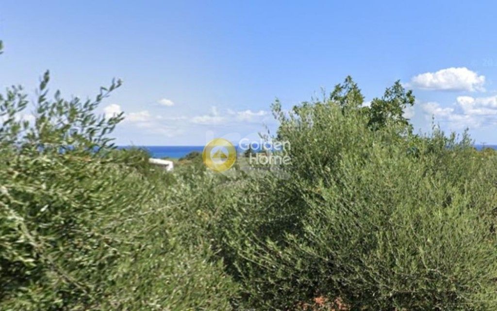 Αγροτεμάχια, Πώληση, Ίτανος: ΙΤΑΝΟΣ