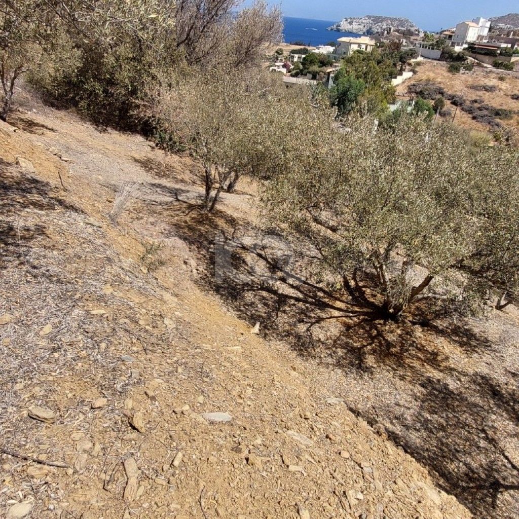 Οικόπεδα, Πώληση, Αγία Πελαγία: ΑΓΙΑ ΠΕΛΑΓΙΑ