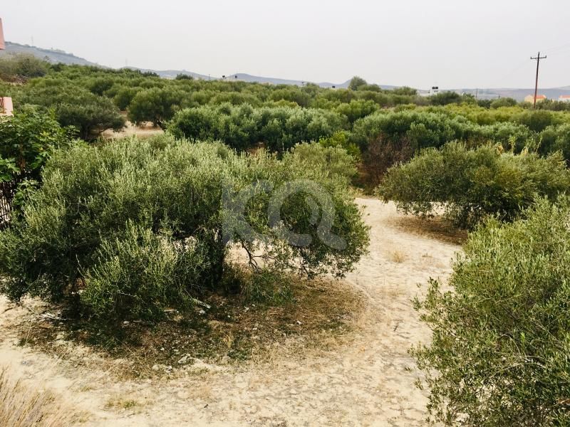 Οικόπεδα, Πώληση, Κοκκίνη Χάνι: ΚΟΚΚΙΝΗ ΧΑΝΙ