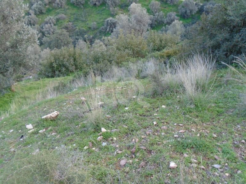 Πώληση ΠΑΛΑΙΟΚΑΣΤΡΟ Παλαιόκαστρο