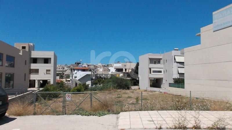 Πώληση ΚΟΡΩΝΗ ΜΑΓΑΡΑ Κορώνη Μαγαρά