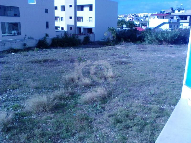 Πώληση ΚΟΡΩΝΗ ΜΑΓΑΡΑ Κορώνη Μαγαρά