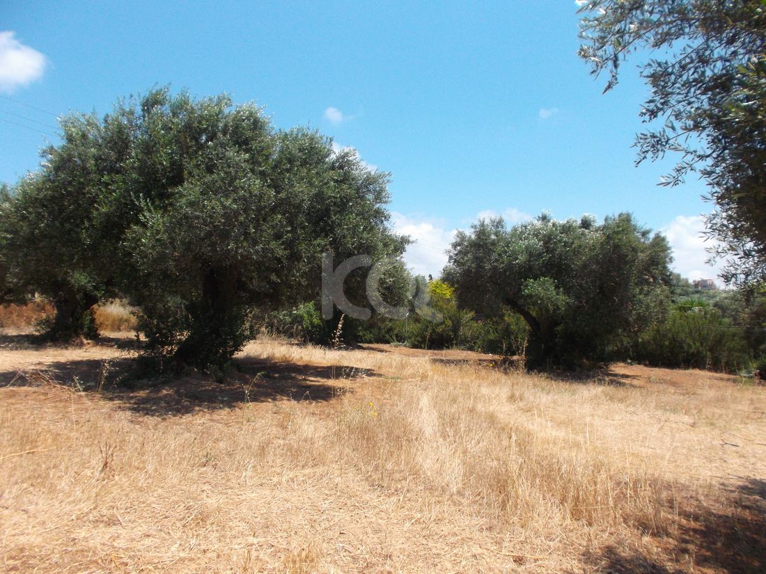 Πώληση ΕΠΙΣΚΟΠΗ Επισκοπή