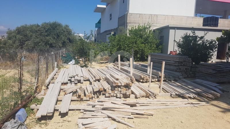 Πώληση ΚΟΡΩΝΗ ΜΑΓΑΡΑ Κορώνη Μαγαρά