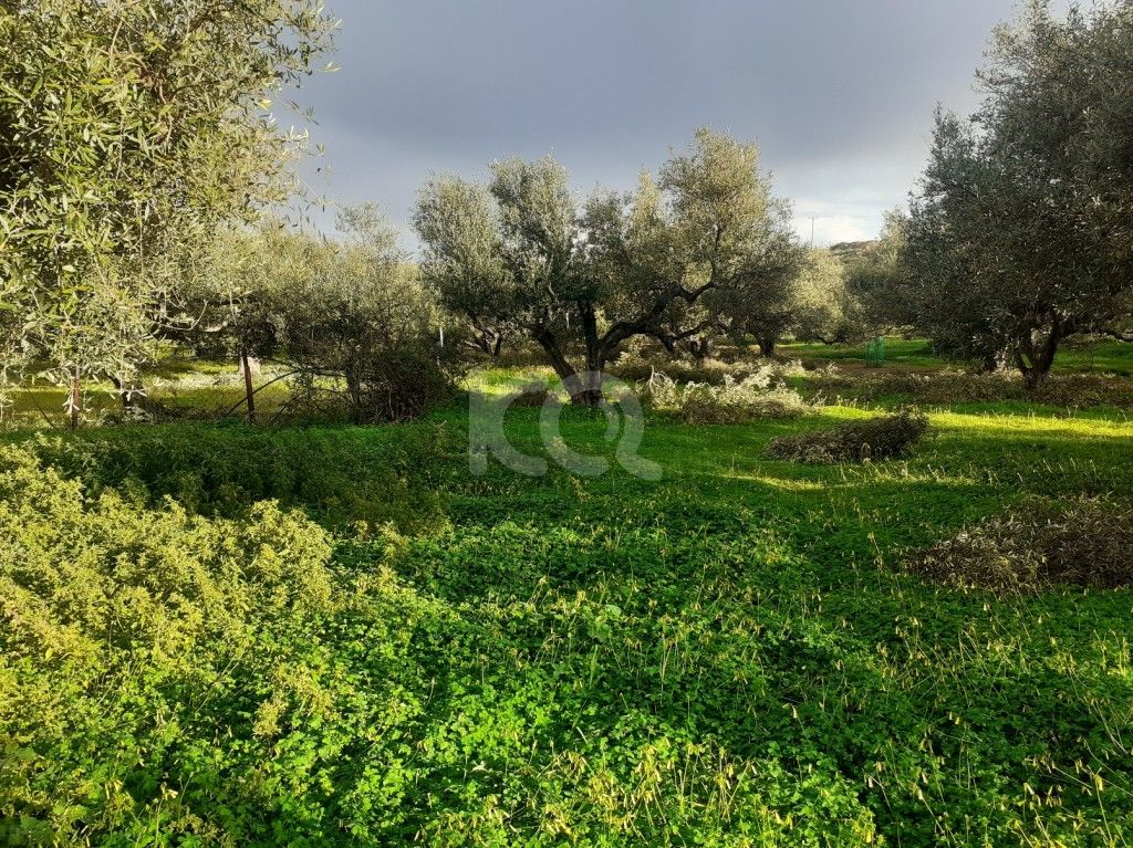 Πώληση ΧΕΡΣΟΝΗΣΟΥ ΑΝΑΛΗΨΗ Χερσονήσου Ανάληψη