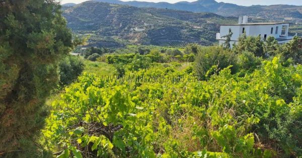 Οικόπεδα, Πώληση, Καλέσα Κάτω : ΚΑΛΕΣΑ ΚΑΤΩ