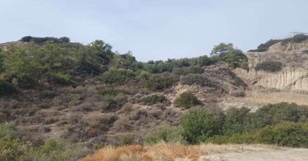 Αγροτεμάχια, Πώληση, Άρβη: ΑΡΒΗ