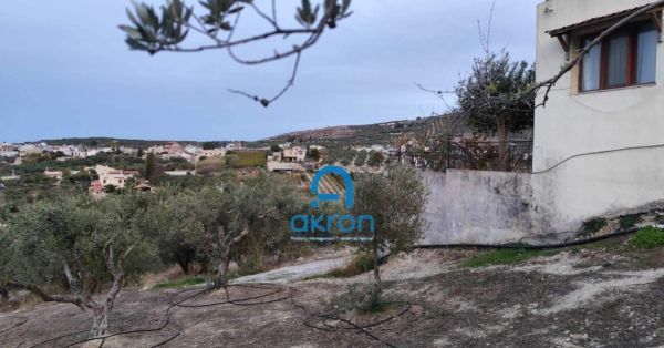 Αγροτεμάχια, Πώληση, Σγουροκεφάλι: ΣΓΟΥΡΟΚΕΦΑΛΙ